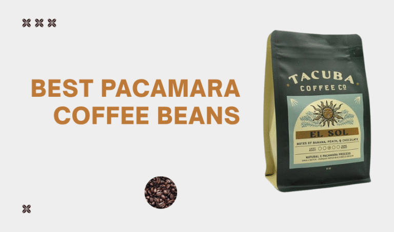 Best Pacamara Coffee Beans: Our Top Picks for a Unique Brew